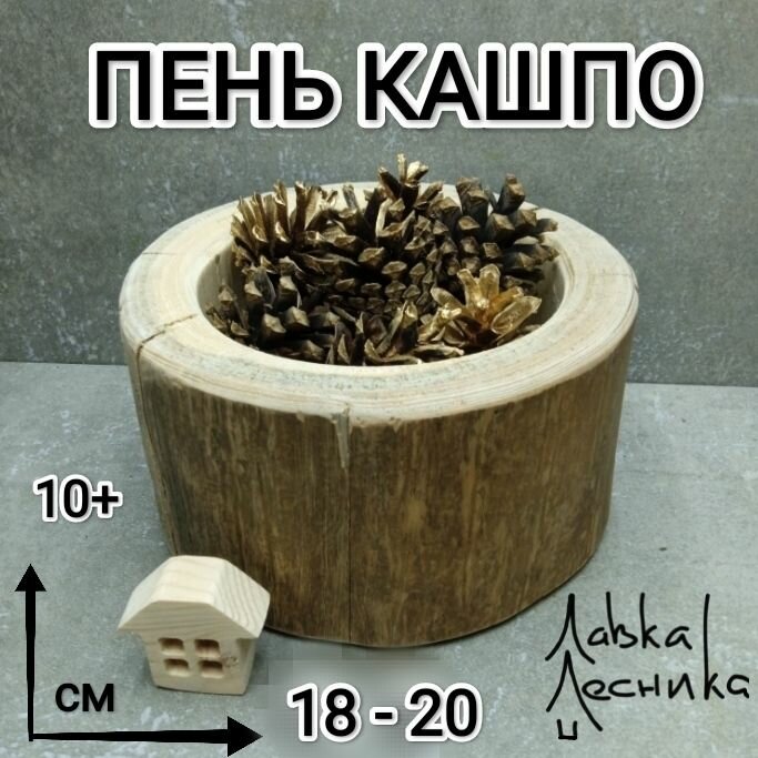 Кашпо-ваза "Пень" D18-20*10см полено-ель без коры для декора интерьера. ЭКО кругляшок из бревна