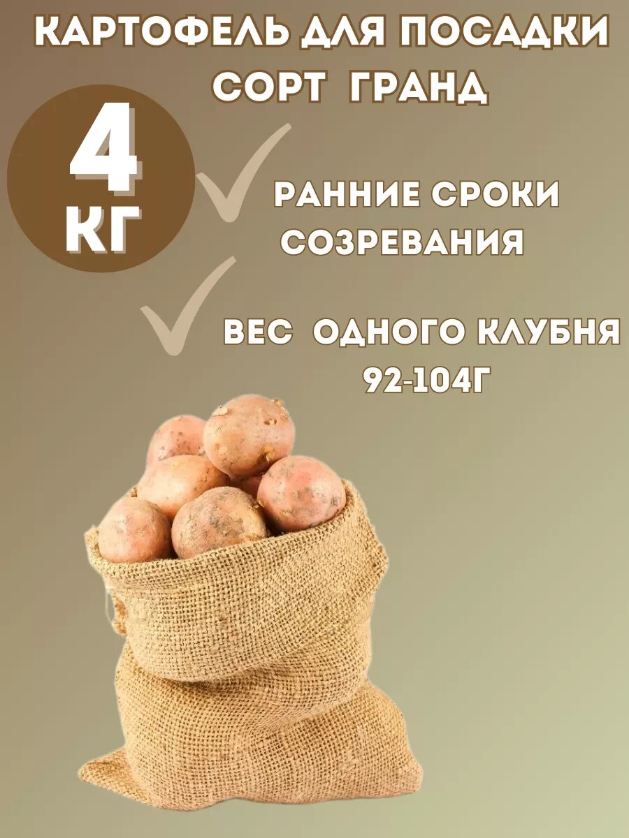 ОгородNIK Картофель семенной "Гранд", сорт среднеранний, 4 кг