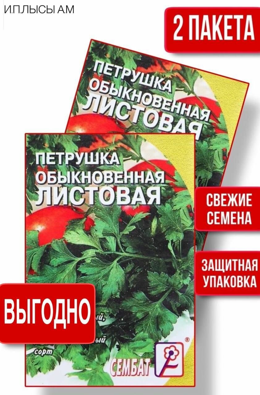 Семена Петрушка Обыкновенная Листовая