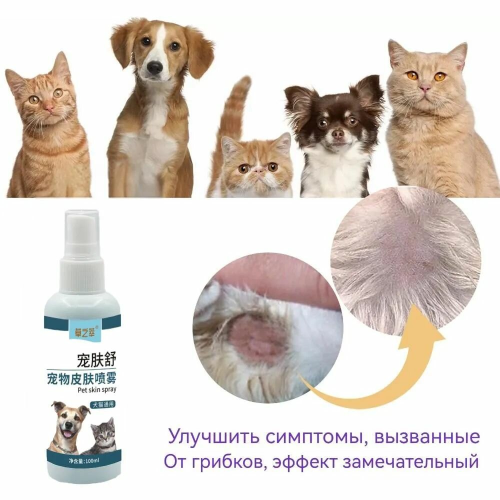 Спрей от стригущего лишая для кошек и собак , 100 мл, для ухода за кожей домашних животных, наружное применение