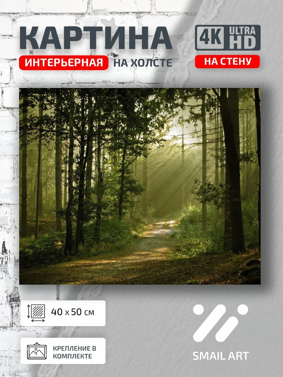 Картина на холсте интерьерная 40 на 50 на стену Деревья forest для офиса пейзаж интерьер