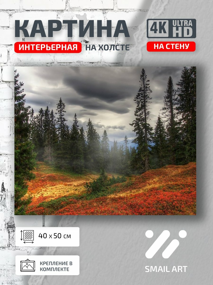 Картина на холсте интерьерная 40 на 50 на стену Горы Landscape для офиса пейзаж интерьер