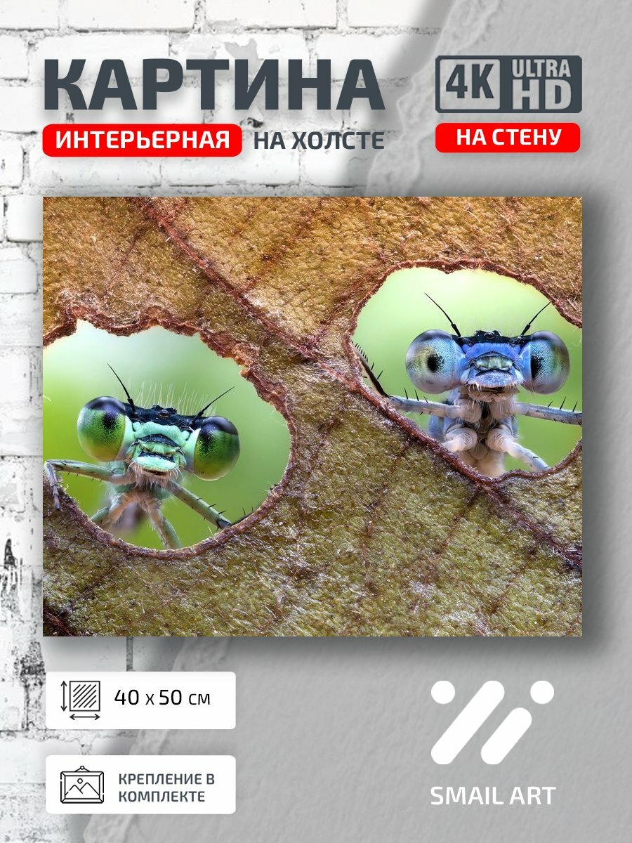 Картина на холсте интерьерная 40 на 50 на стену Отверстия Macro для гостиной макро интерьер