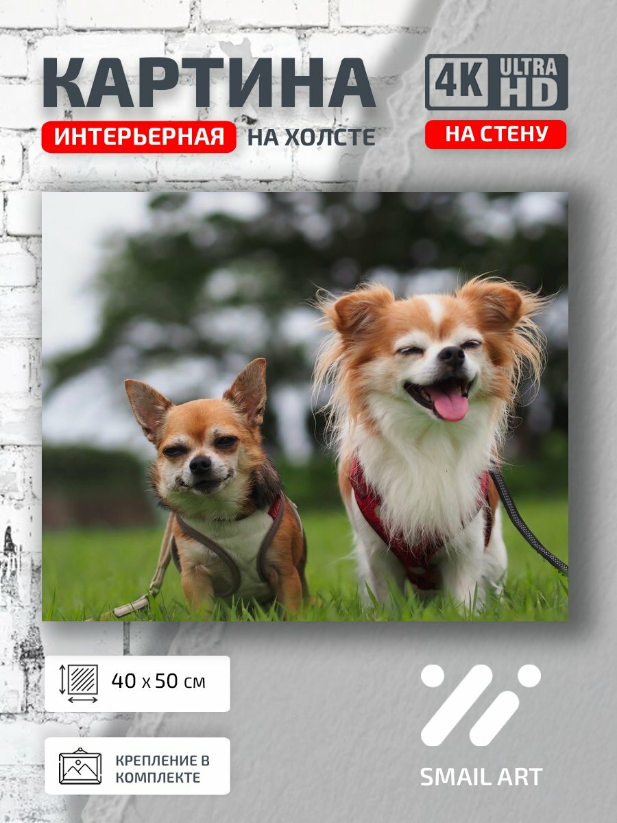 Картина на холсте интерьерная 40 на 50 на стену Собака dog для кабинета пейзаж интерьер