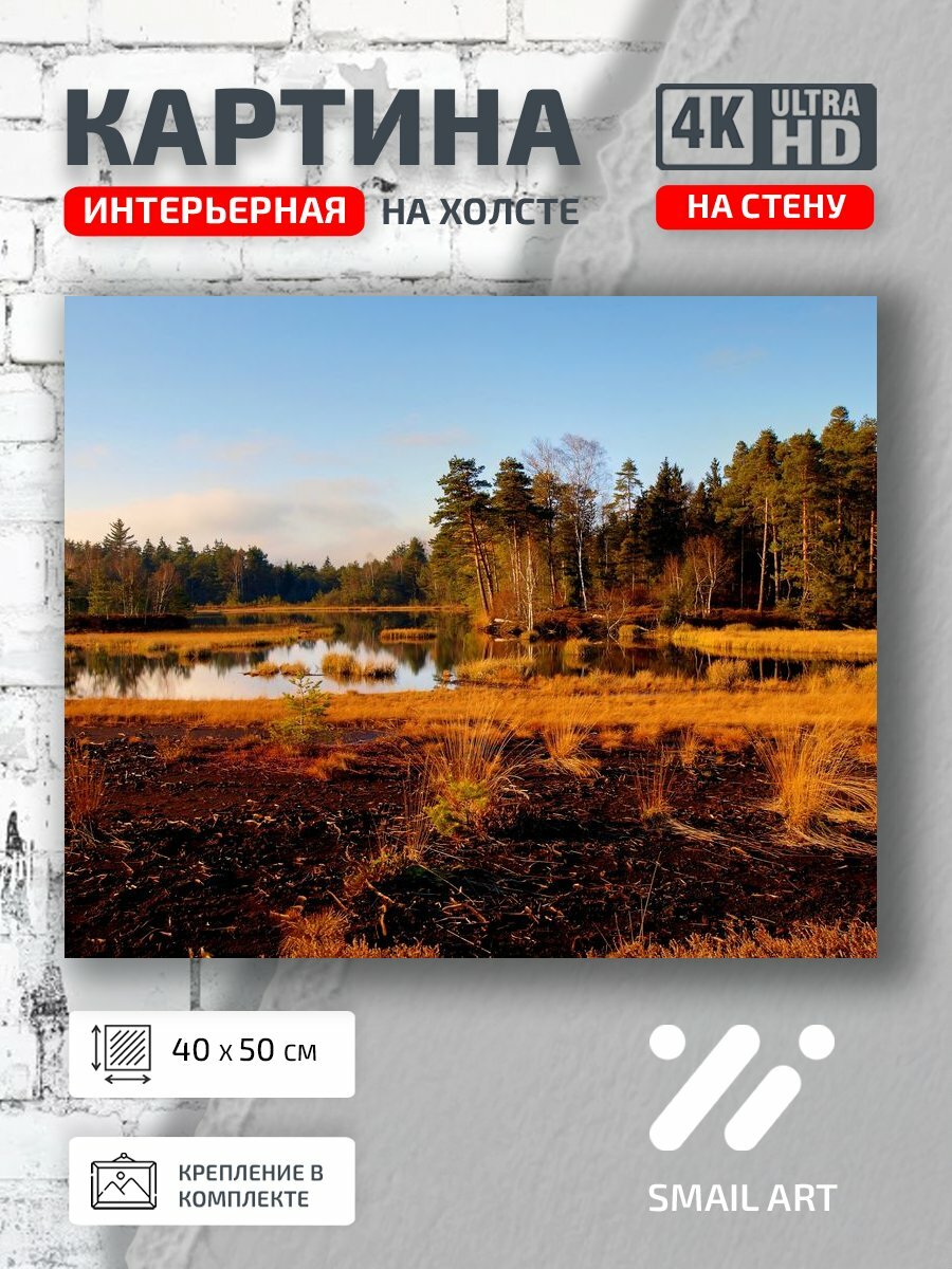 Картина на холсте интерьерная 40 на 50 на стену Озера Landscape для кафе пейзаж интерьер