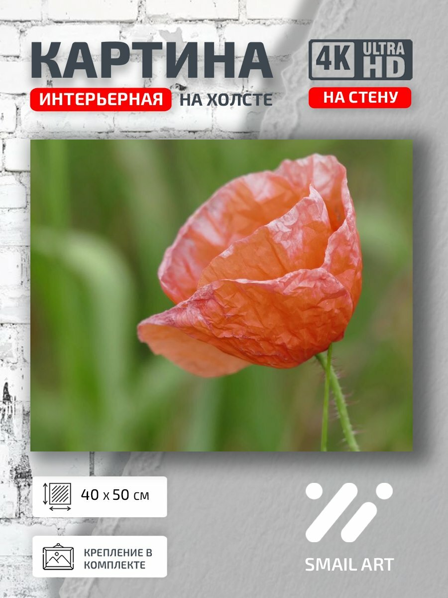 Картина на холсте интерьерная 40 на 50 на стену Полевой Landscape для кабинета пейзаж декор