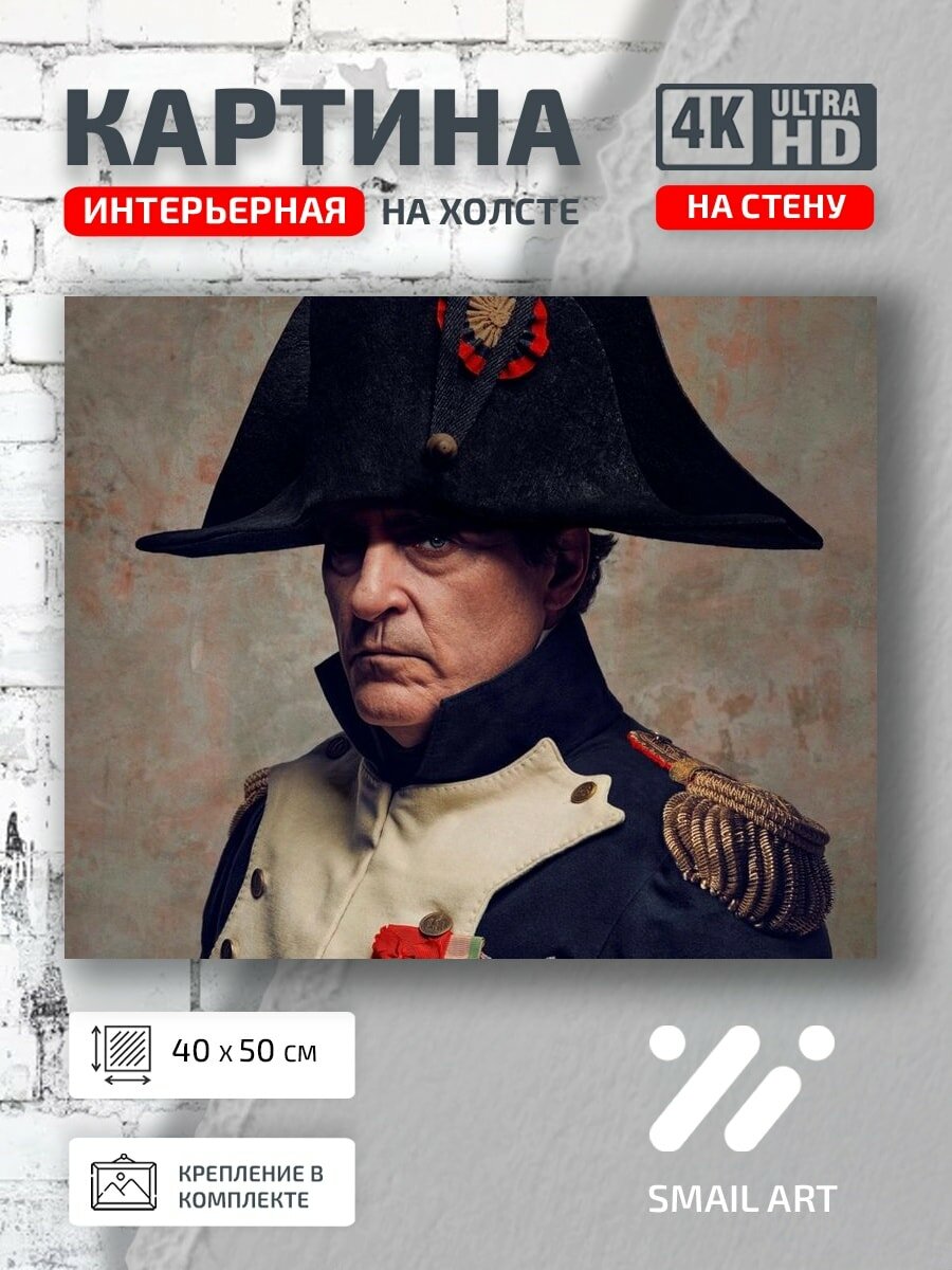 Картина на холсте интерьерная 40 на 50 на стену Феникс Наполеон для офиса атмосфера