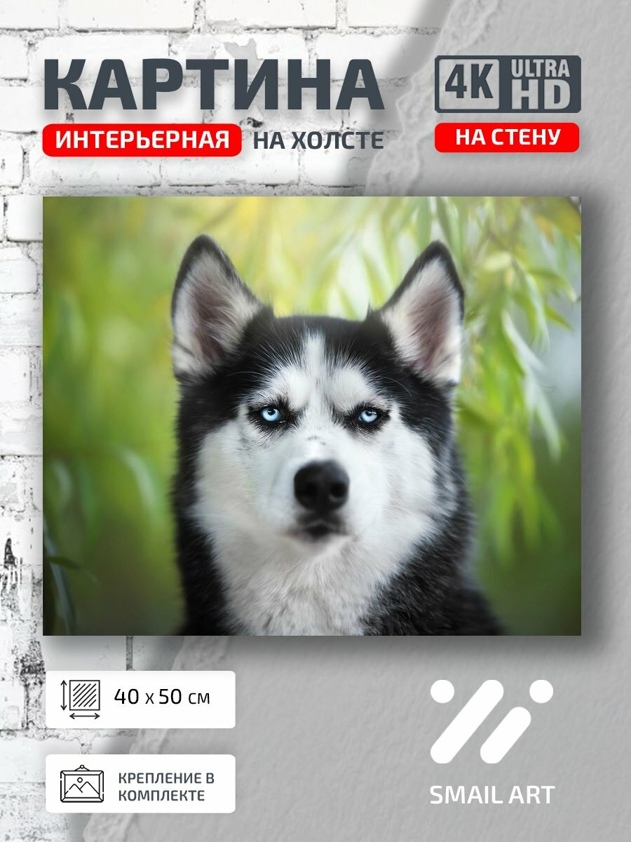 Картина на холсте интерьерная 40 на 50 на стену Взгляд Mood для гостиной атмосфера интерьер