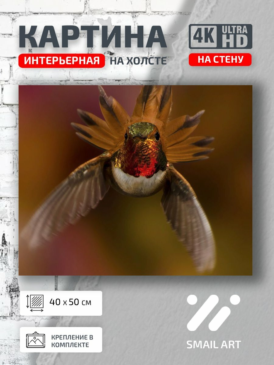 Картина на холсте интерьерная 40 на 50 на стену Колибри Landscape для спальни пейзаж декор