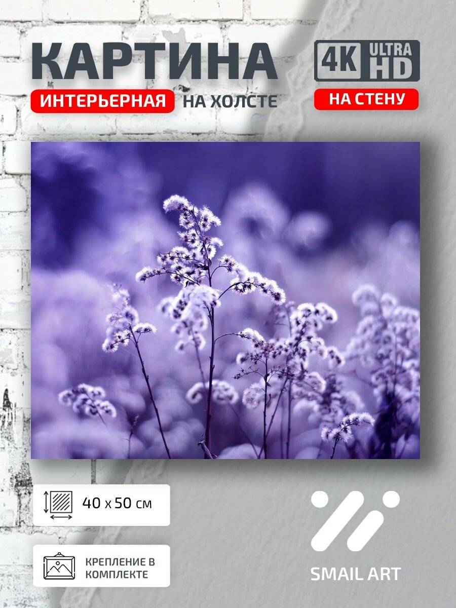 Картина на холсте интерьерная 40 на 50 на стену Фиолетовые растения для студии атмосфера