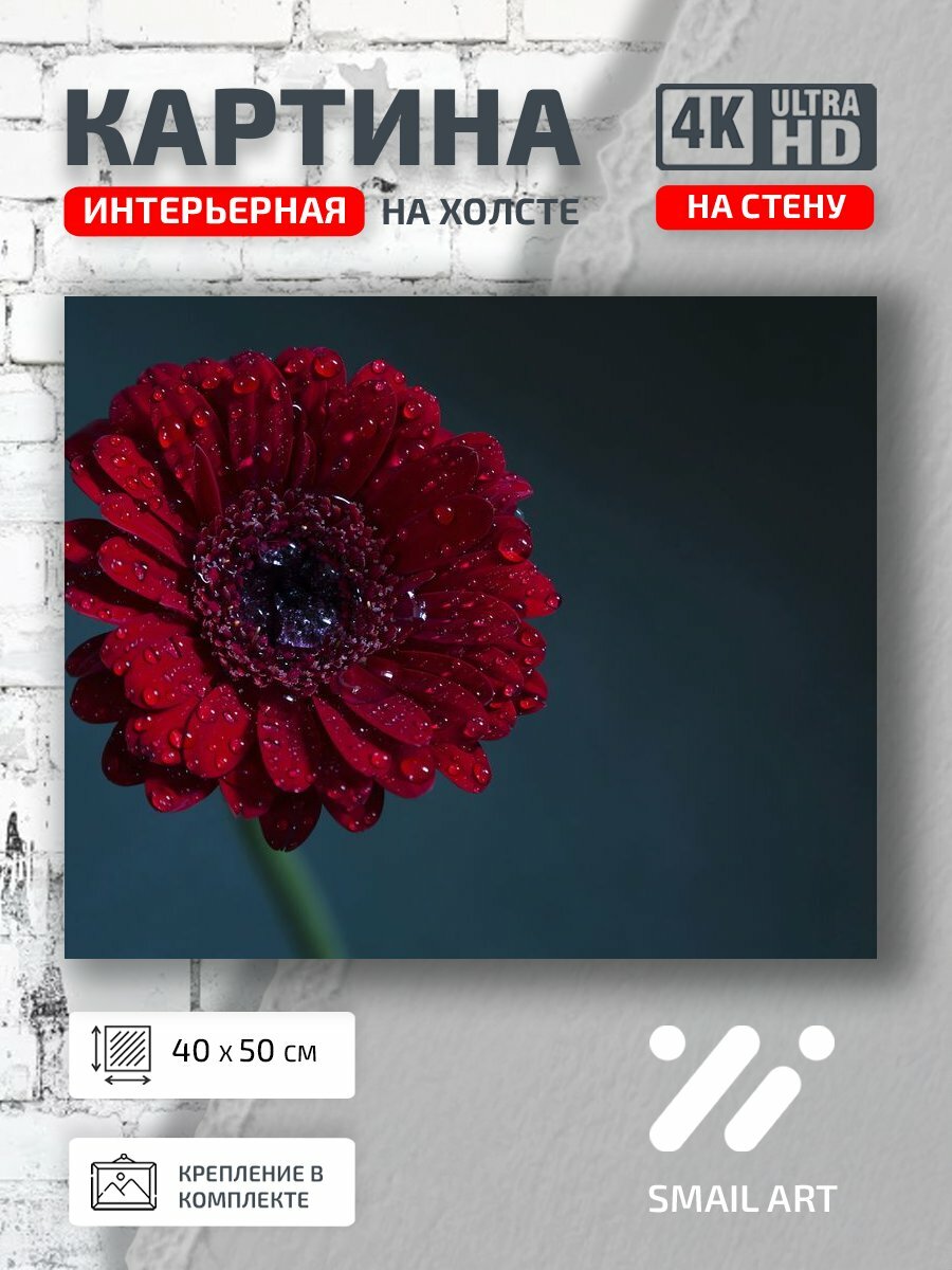 Картина на холсте интерьерная 40 на 50 на стену Капли Mood для студии атмосфера интерьер