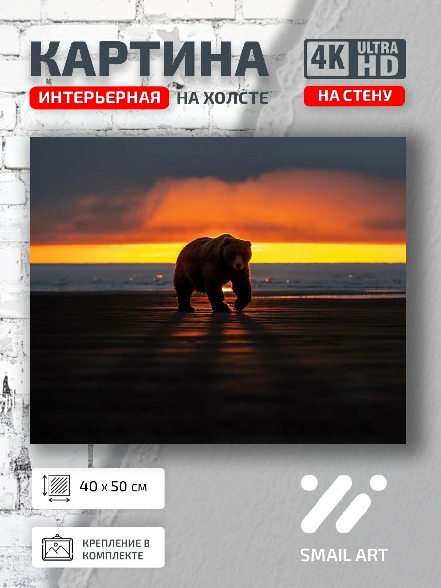 Картина на холсте интерьерная 40 на 50 на стену Животные Медведь для гостиной атмосфера