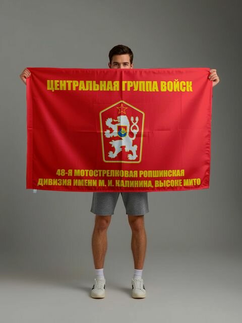 Флаг ЦГВ 48-я мотострелковая Ропшинская дивизия имени М. И. Калинина, Высоке Мито, 90х135 см на шёлке для ручного древка