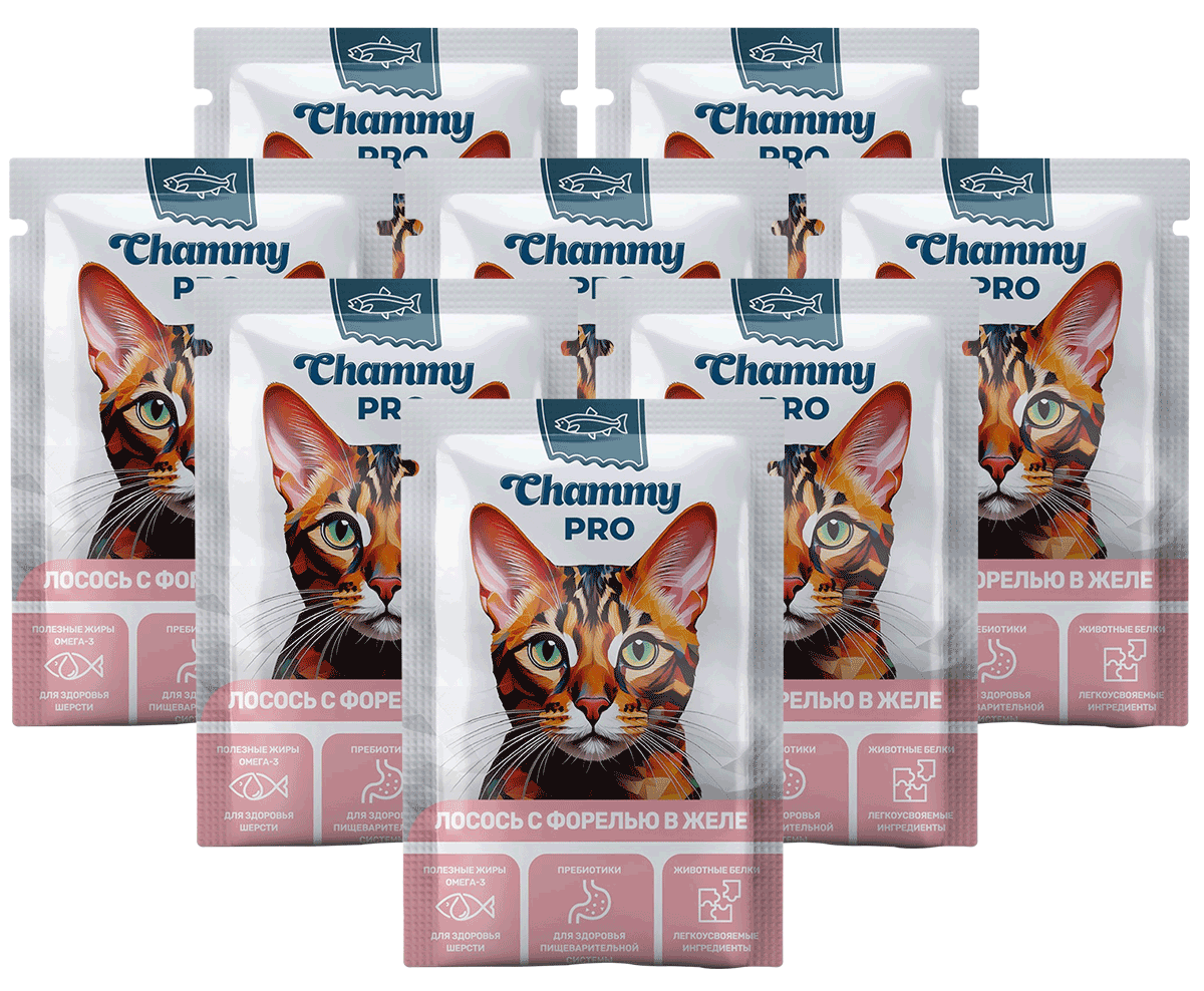 Влажный корм Chammy Pro для взрослых кошек, лосось и форель в желе, 85 г х 8 шт