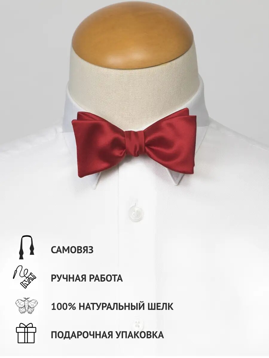 Бабочка Gentle Man