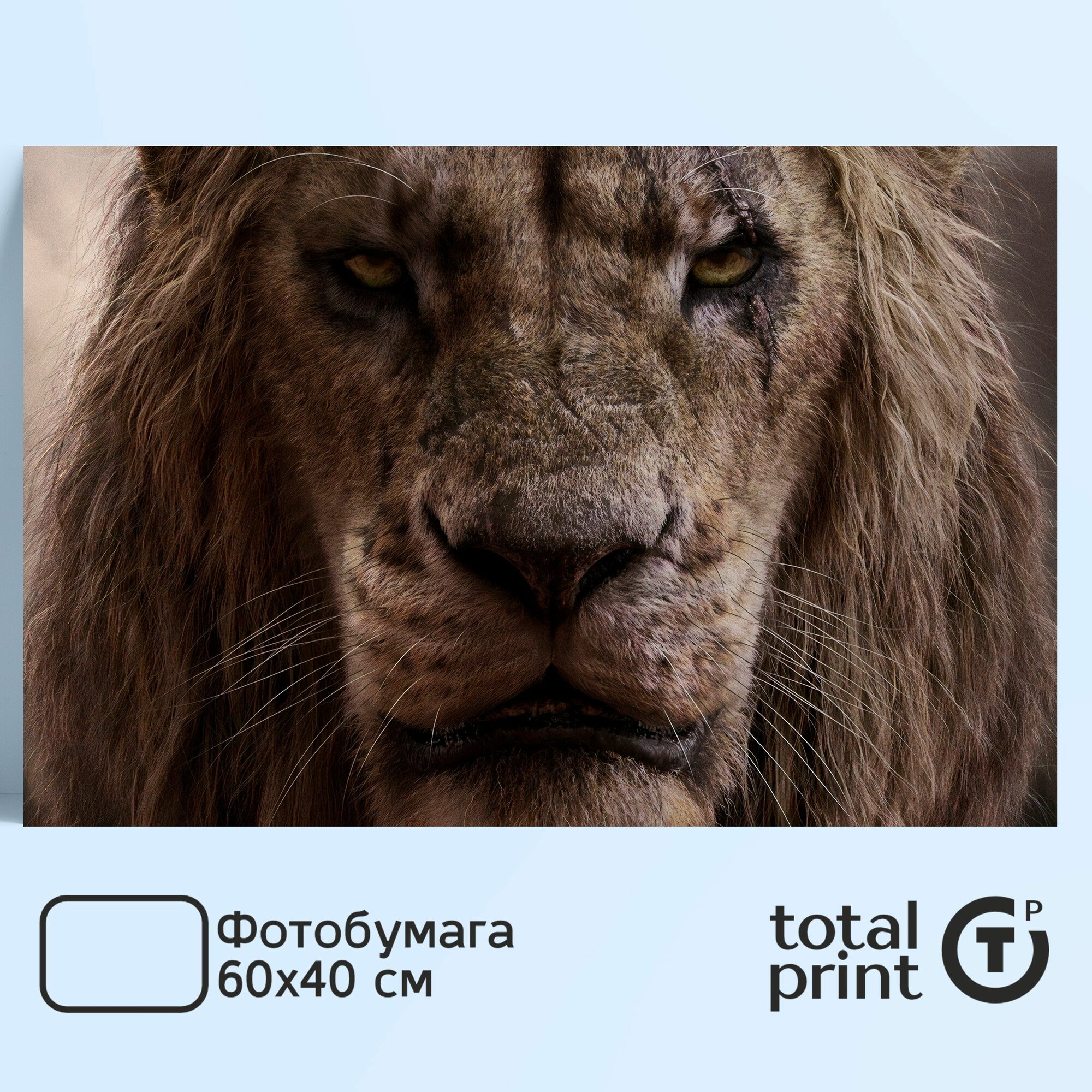 TotalPrint Постер для интерьера, Король Лев, 60х40см.