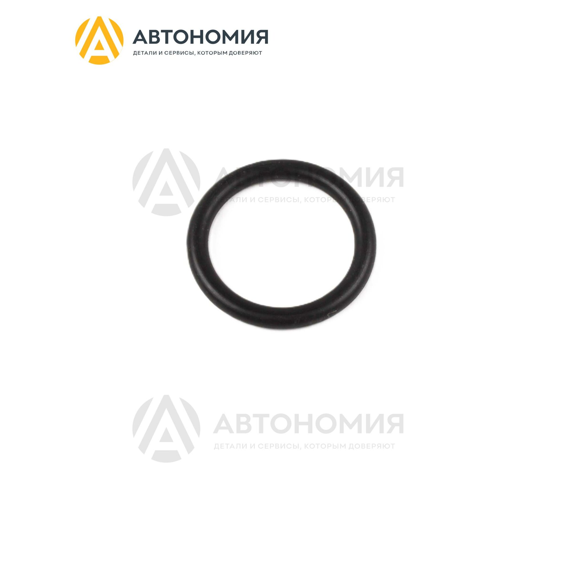 Уплотнительное кольцо VAG N90 890 501