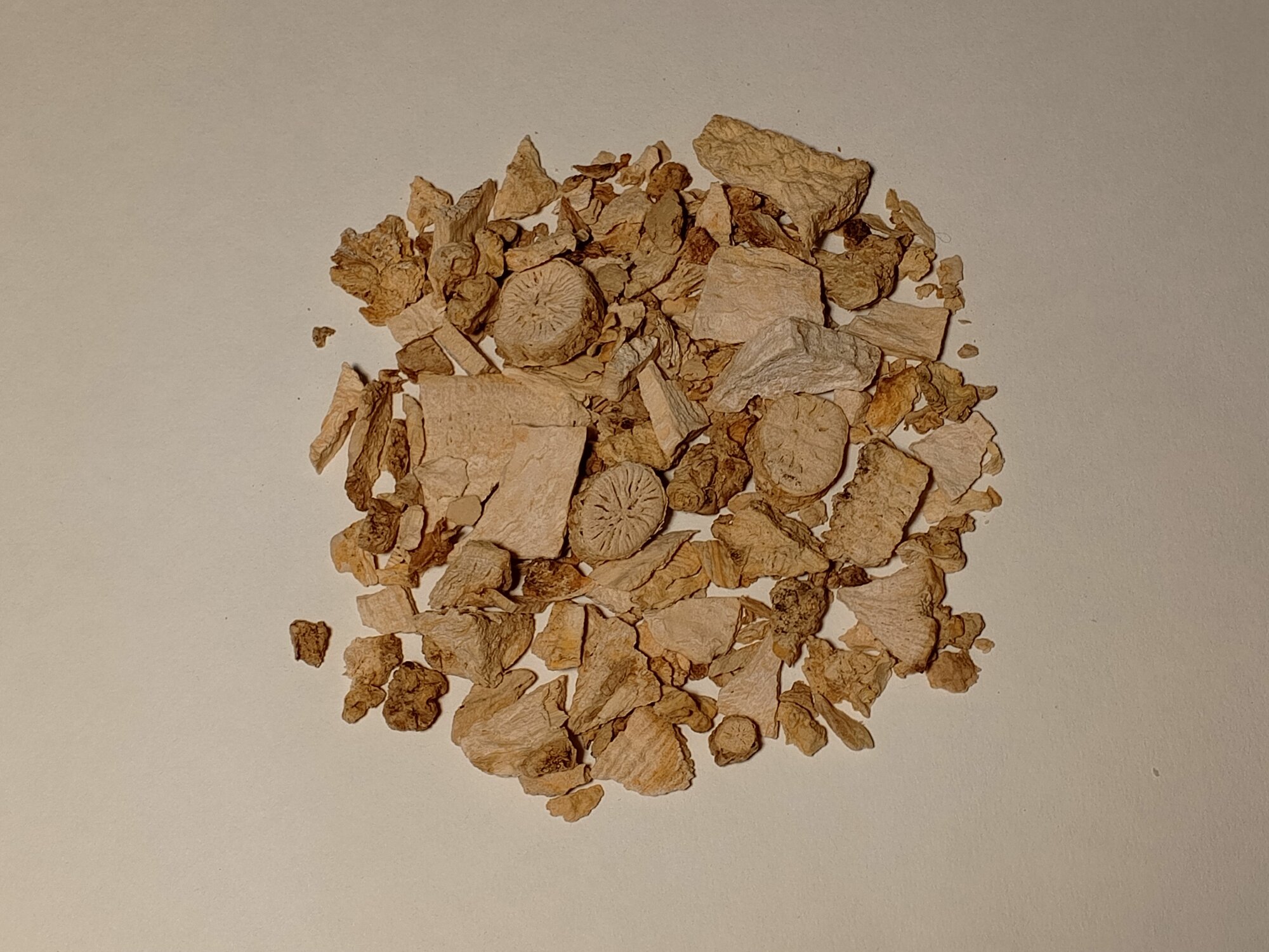 Переступень белый, бриония белая (корень)