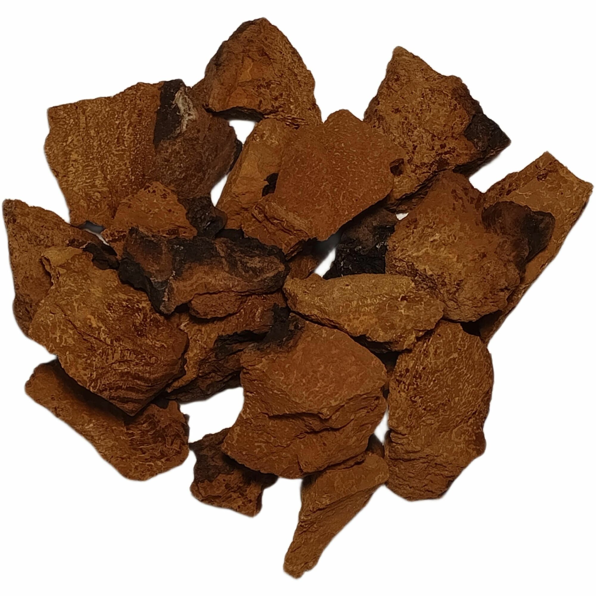 Чага березовый (гриб)