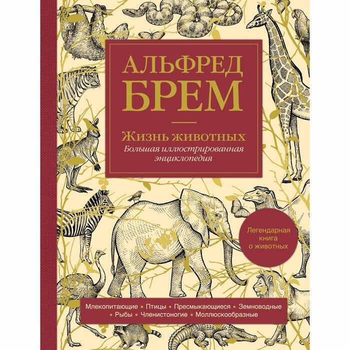 Энциклопедия ЭКСМО Жизнь животных. Большая иллюстрированная. 2022 год, А. Э. Брем