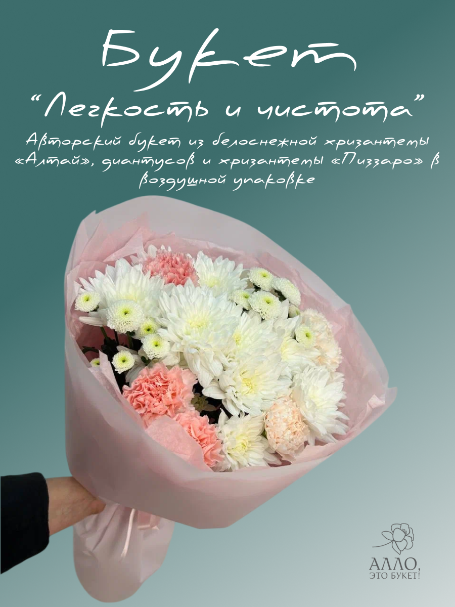 "Легкость и чистота" из белоснежной хризантемы «Алтай», диантусов и хризантемы «Пиззаро» в воздушной упаковке