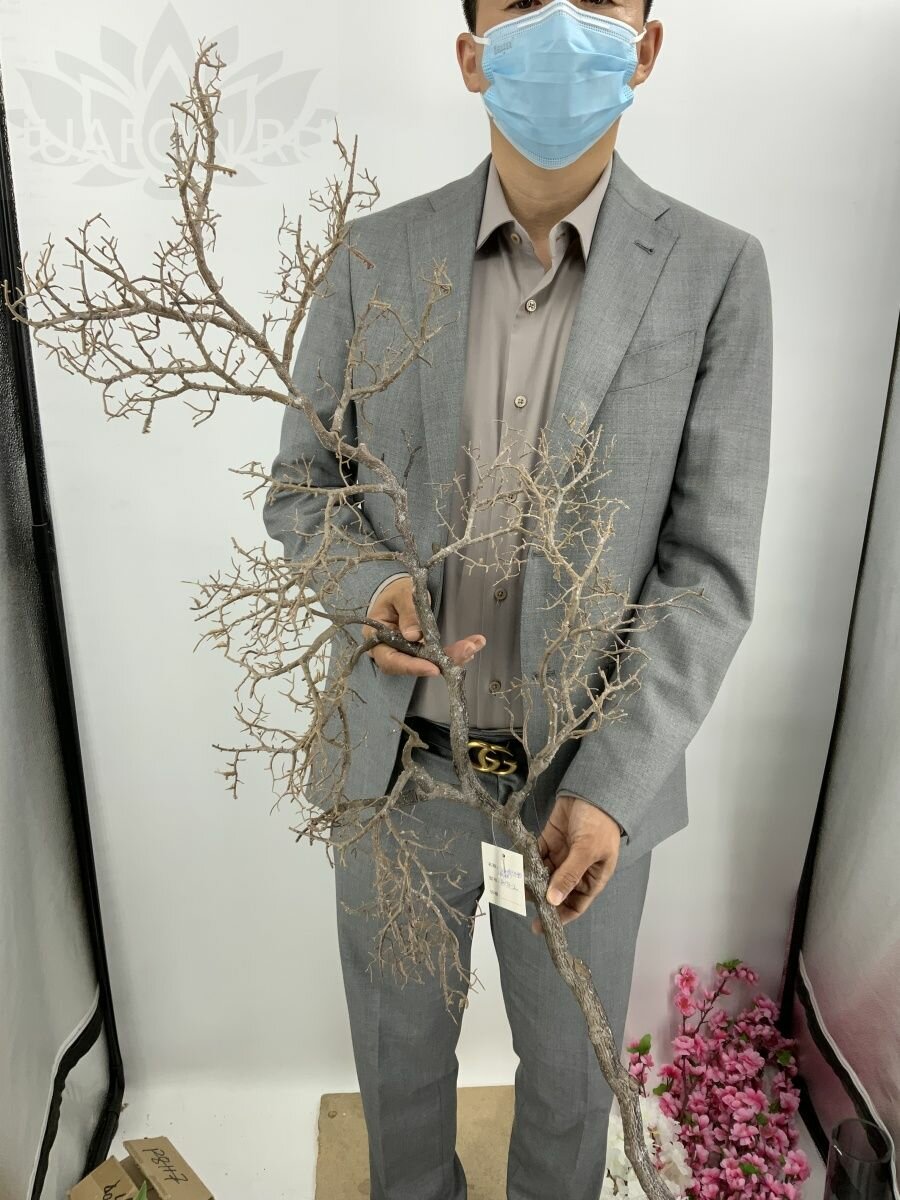 Искусственные цветы для декораторов фитостен флористическая Ветка коряга 110 см коричневая