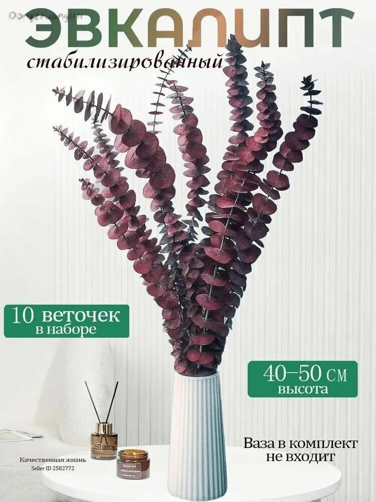Сухоцветы, 50 см, 50 гр
