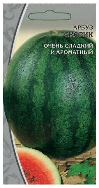 Семена арбуз Скорик 1 г - устойчивый к жаре сорт для открытого грунта и жаркого климата