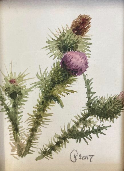 ART-Salon at Oktyabrskaya "Колючки" 11х9см, бумага, акварель; ручная работа. Оформлена в раму под стекло