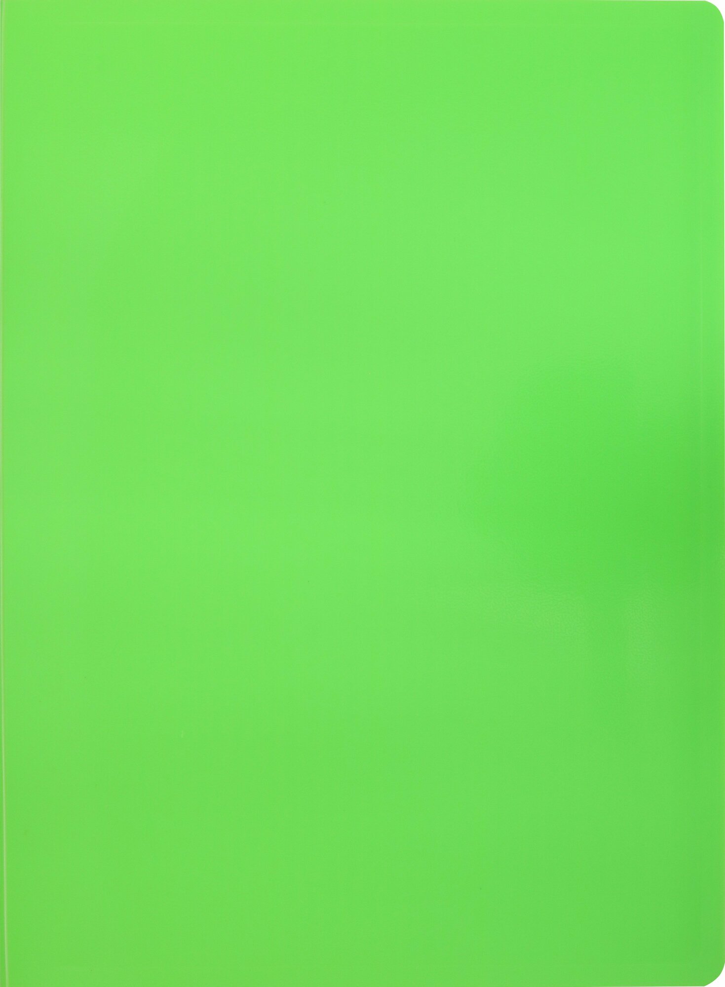 Папка 30 вкладышами А4 "Neon" салатовый (DNE07V30LETT)