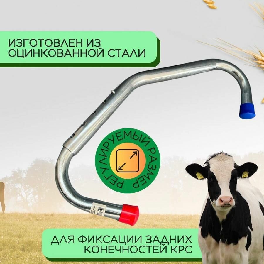 Антибрык для КРС — фото 1