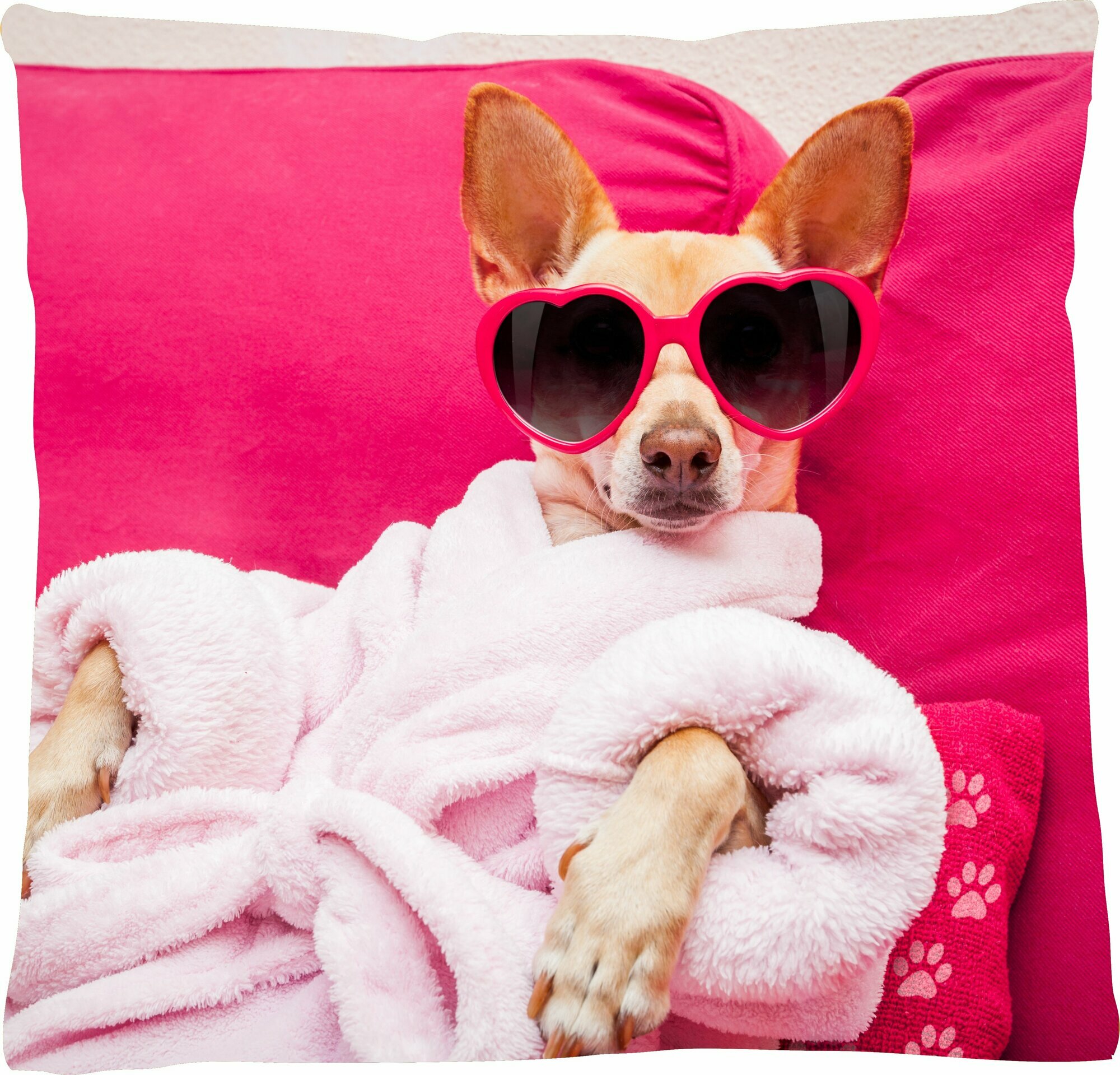 Подушка квадратная Чихуахуа