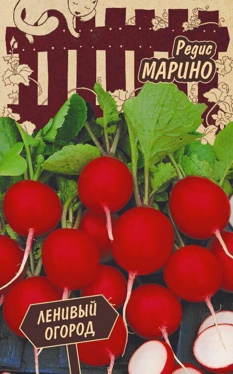 Семена Редис Марино