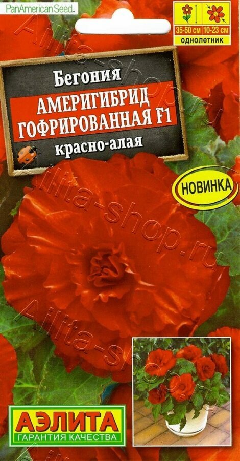 Семена бегонии "Америгибрид гофрированная F1" красно-алая 5 шт. - роскошные густомахровые цветки.