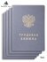 Бланк трудовой книжки ТК-VII, 125x90x4 мм, комплект 5 шт, с голограммой