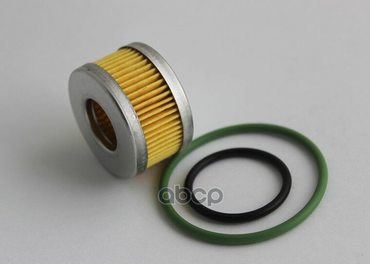 Фильтр газового редуктора TOMASETTO TOMASETTO арт. rgat2070