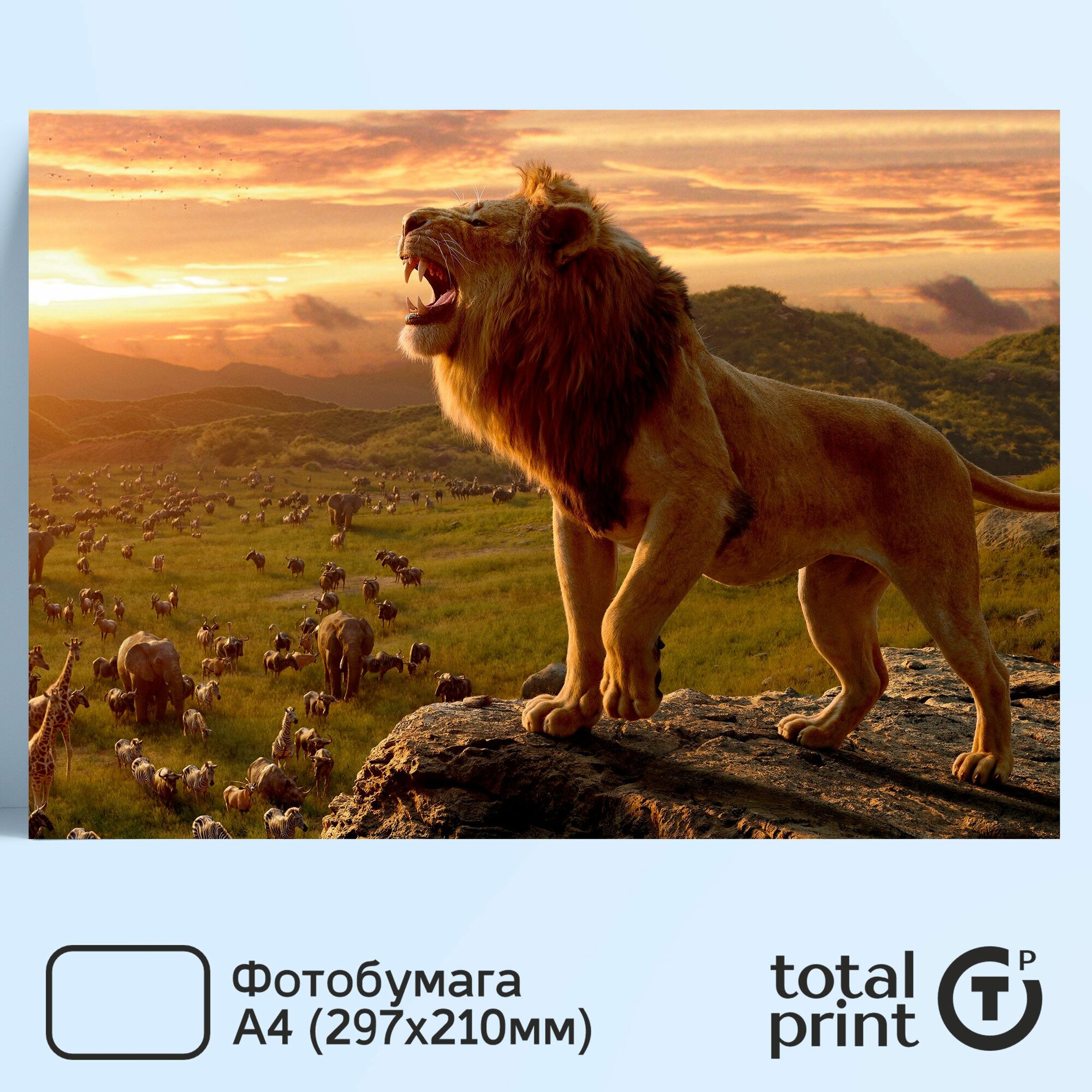 TotalPrint Постер для интерьера, Король Лев, А4(21х29.7см)