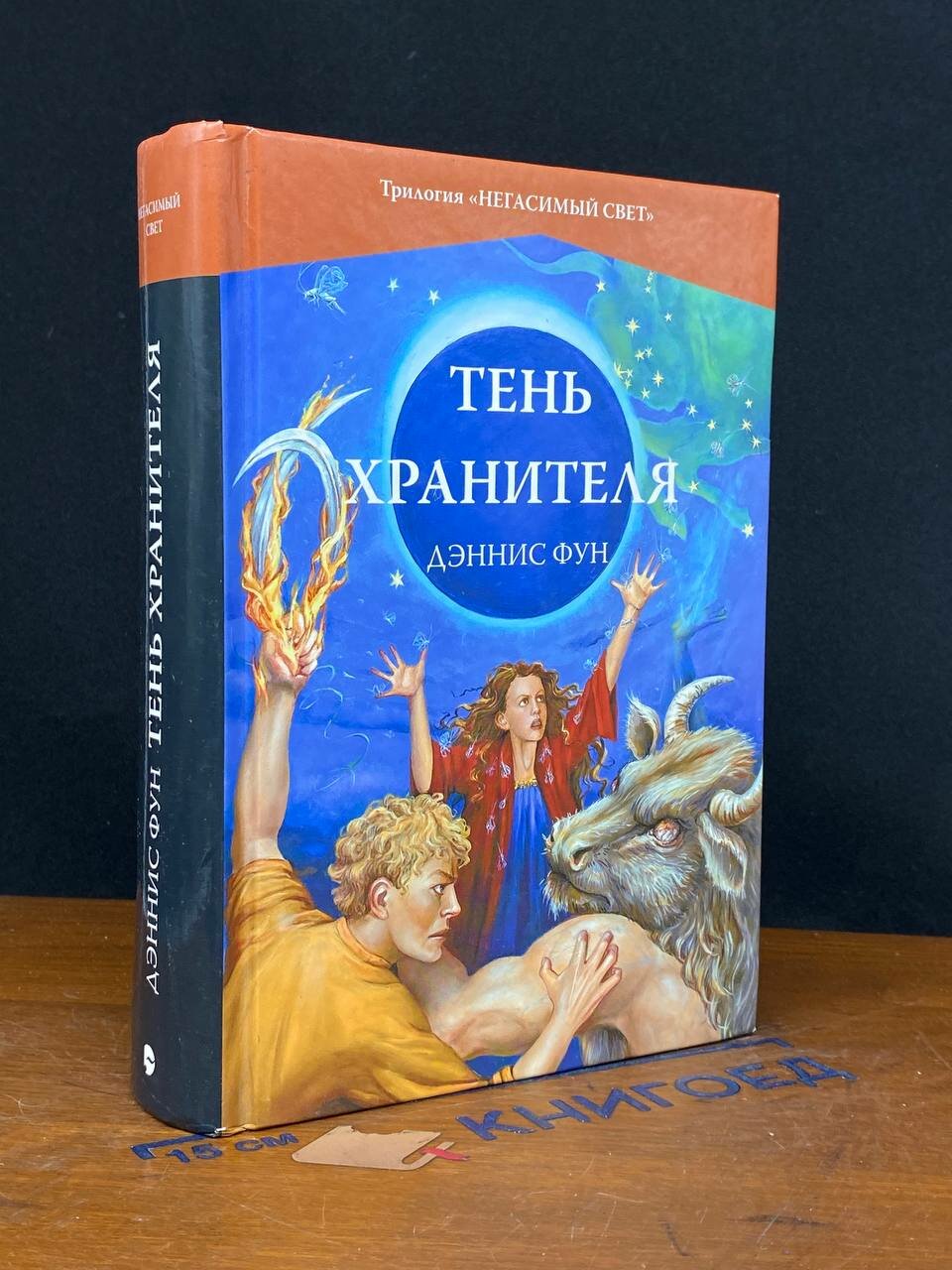 Книга. (Дефект) Тень Хранителя 2011 (2042125446637)