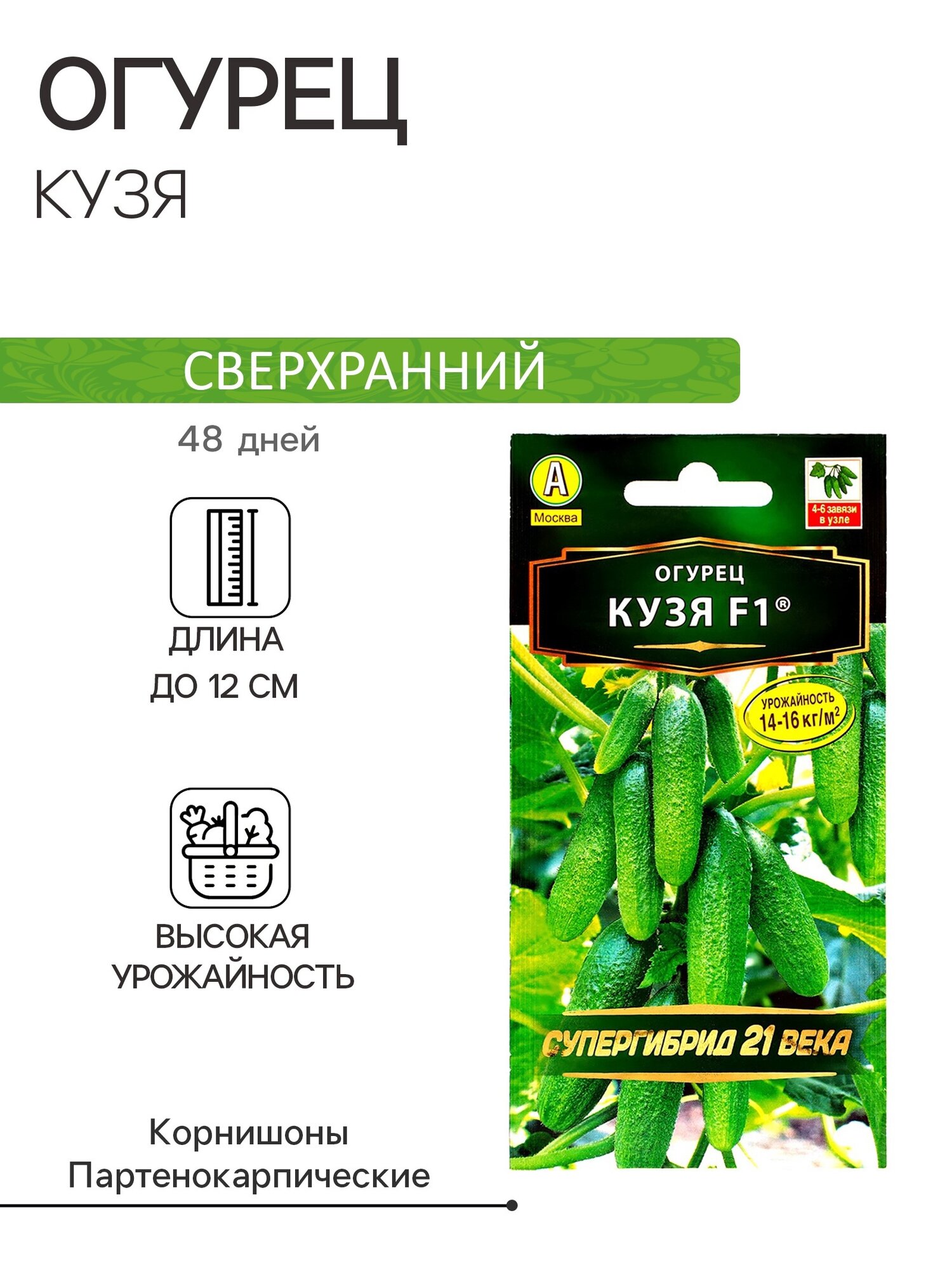 Семена Огурец «Кузя», F1, 10 шт, «Аэлита»
