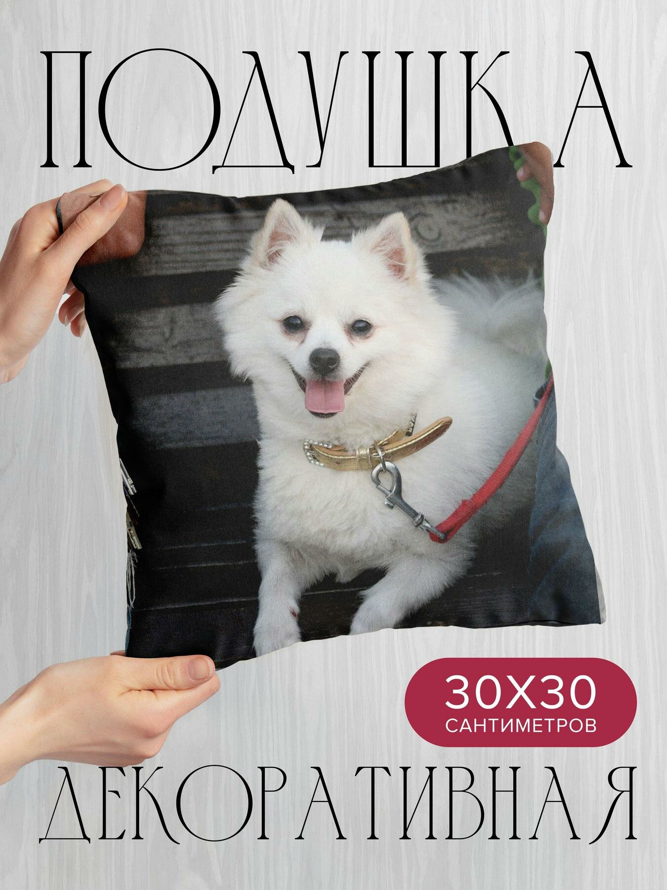 Подушка декоративная, 30x30см / Животные / немецкий шпиц / собака