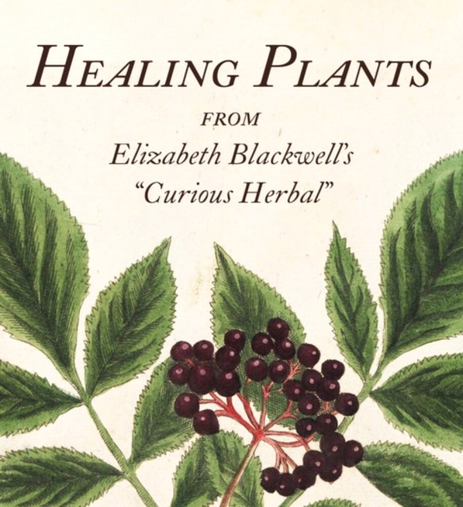 Healing Plants: From Elizabeth Blackwell's "Curious Herbal" (Tiny Folio)