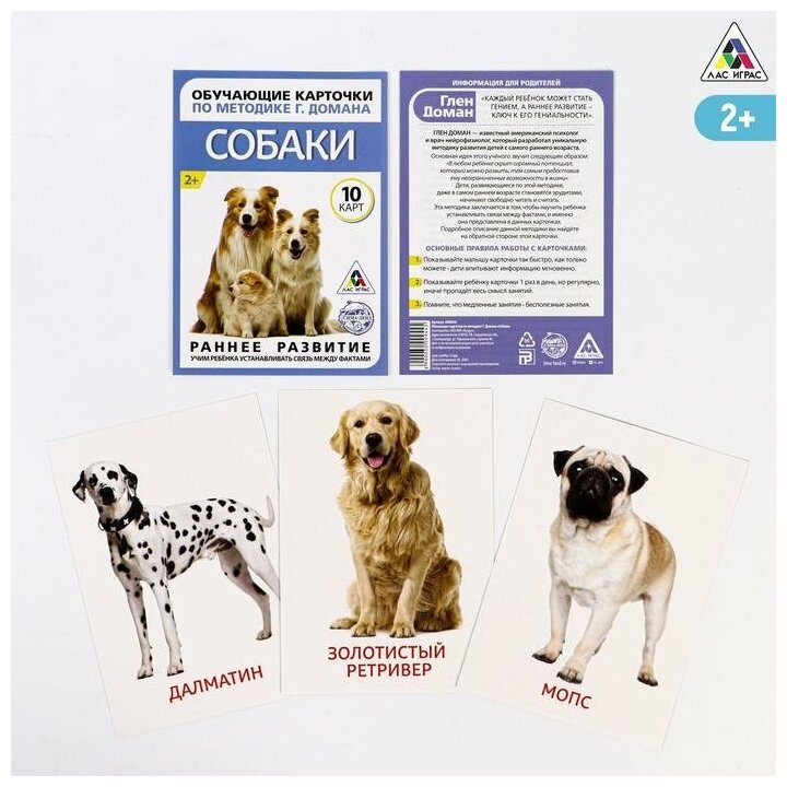 Обучающие карточки по методике Г. Домана «Собаки», 10 карт, А6