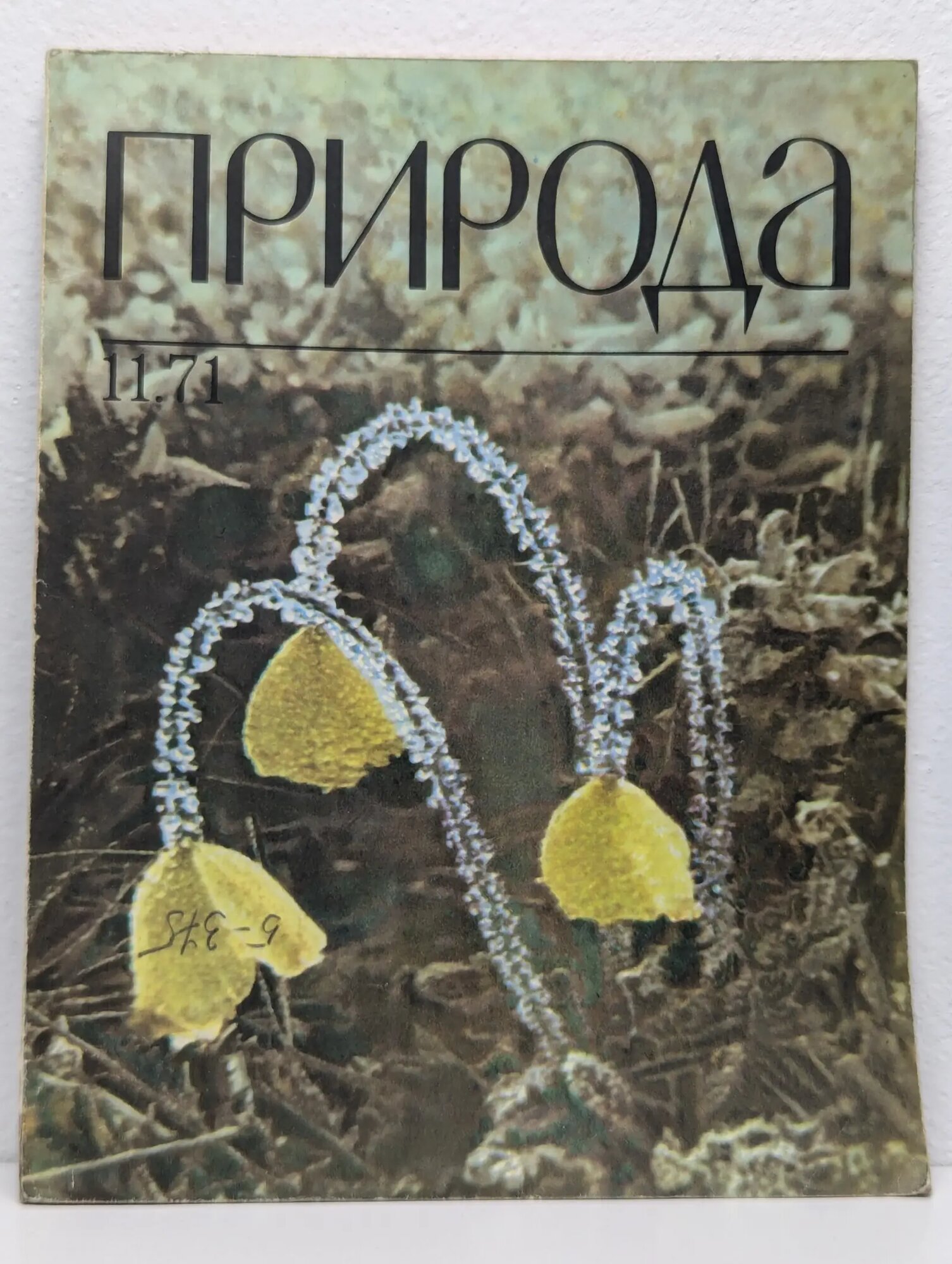 Природа. Выпуск № 11/1971 Басов Николай Геннадиевич (ред.) 1971