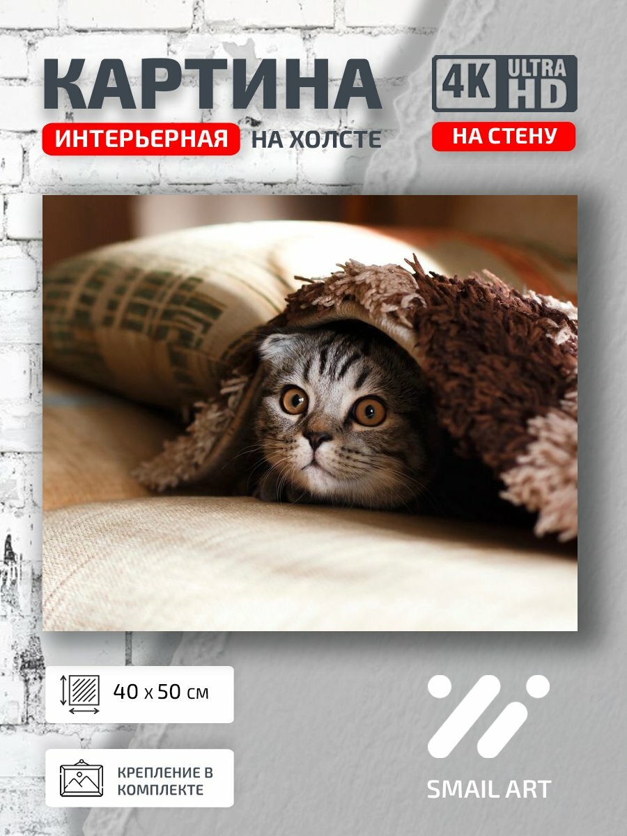 Картина на холсте интерьерная 40 на 50 на стену Подушка Animal для кабинета animal style