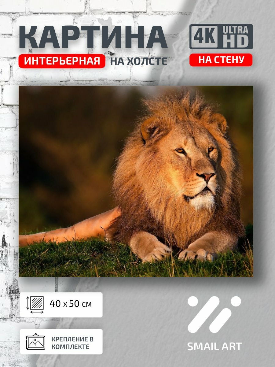 Картина на холсте интерьерная 40 на 50 на стену Лев Animal для кабинета animal style декор