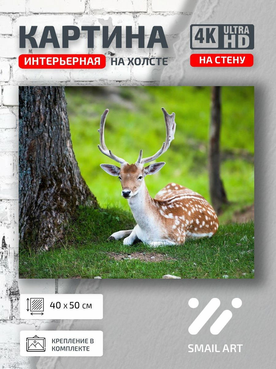 Картина на холсте интерьерная 40 на 50 на стену Олень Landscape для кафе пейзаж интерьер