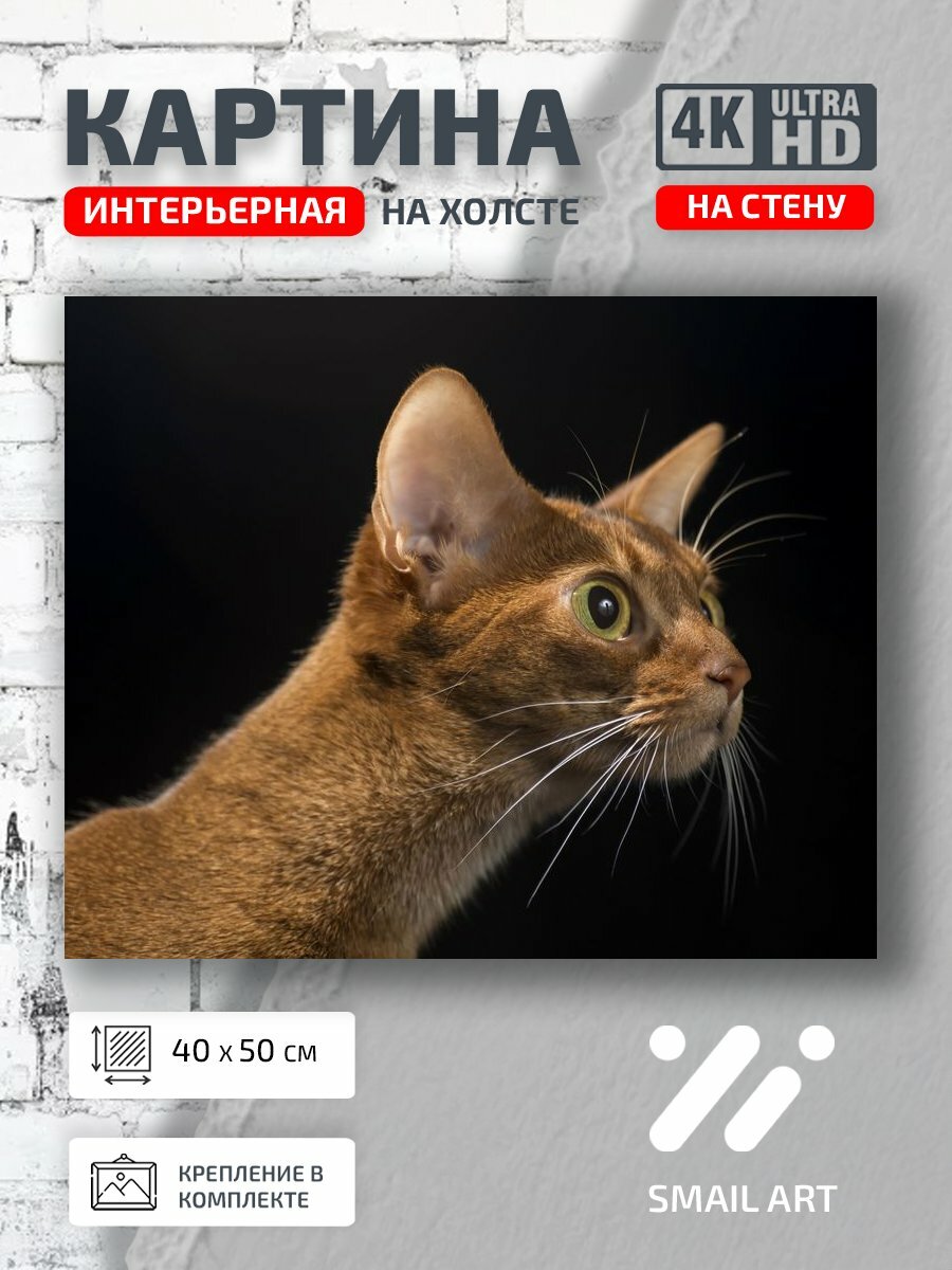 Картина на холсте интерьерная 40 на 50 на стену Удивление Animal для кабинета animal style
