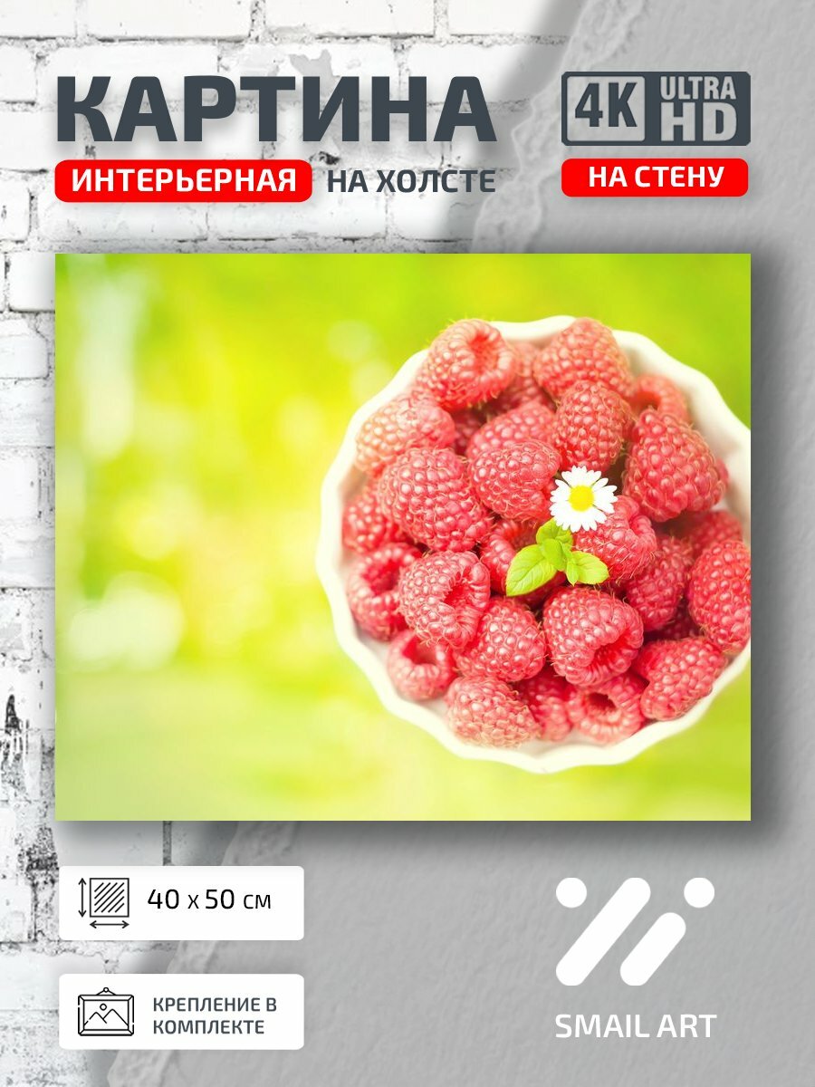 Картина на холсте интерьерная 40 на 50 на стену Малина raspberry для гостиной пейзаж декор