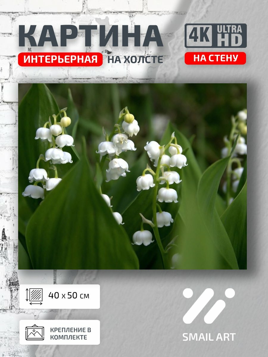 Картина на холсте интерьерная 40 на 50 на стену Белые Landscape для гостиной пейзаж декор