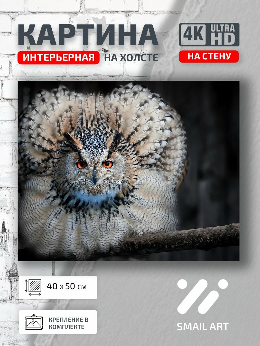 Картина на холсте интерьерная 40 на 50 на стену Филин Animal для спальни animal style декор